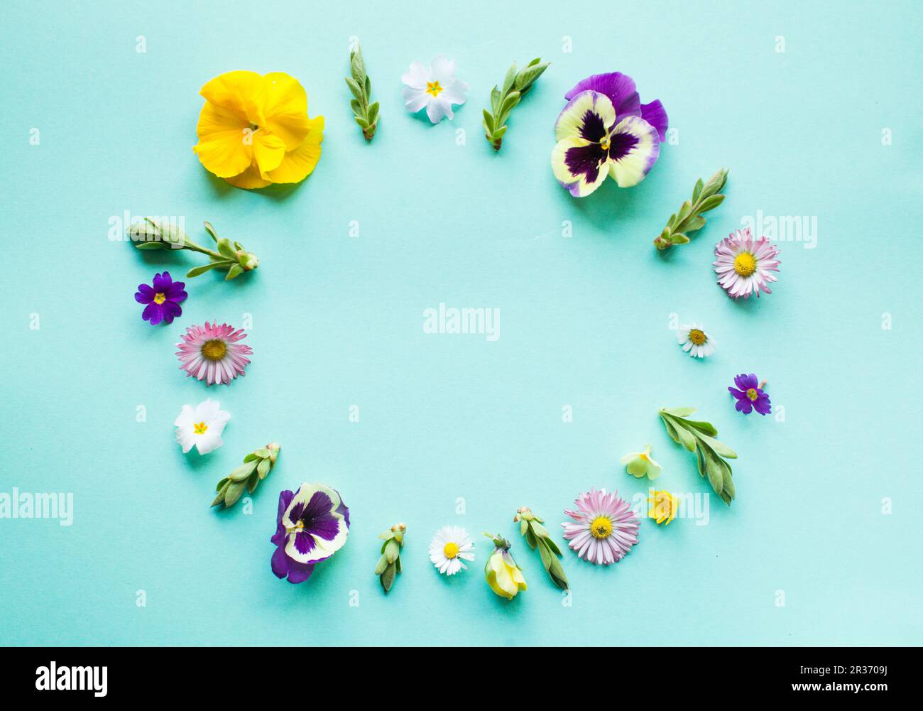 Spring flowers frame Stock Photo - Alamy