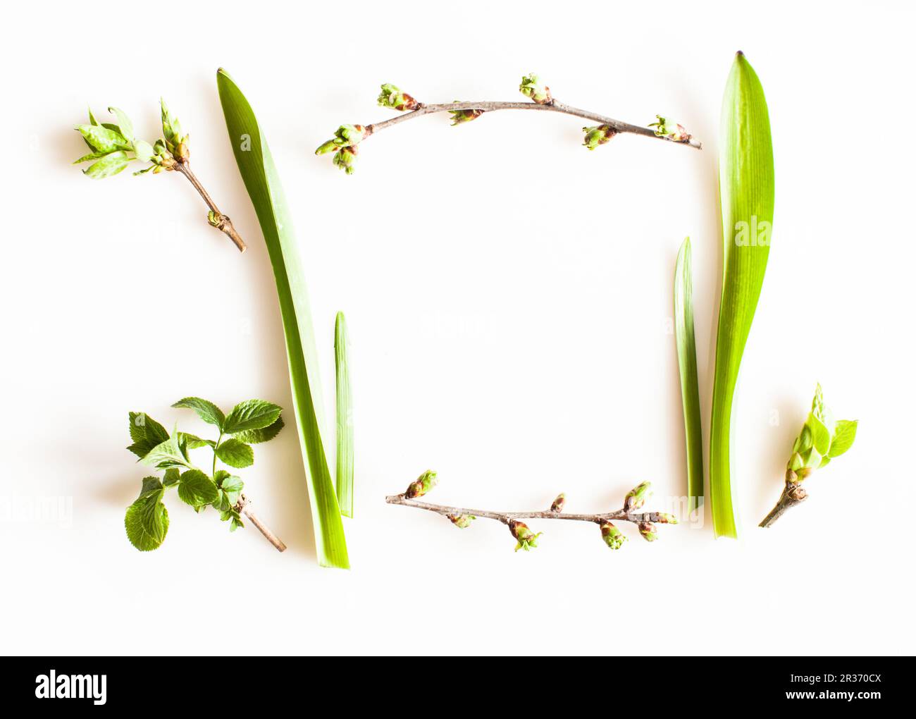 Greenery concept hi-res stock photography and images - Alamy