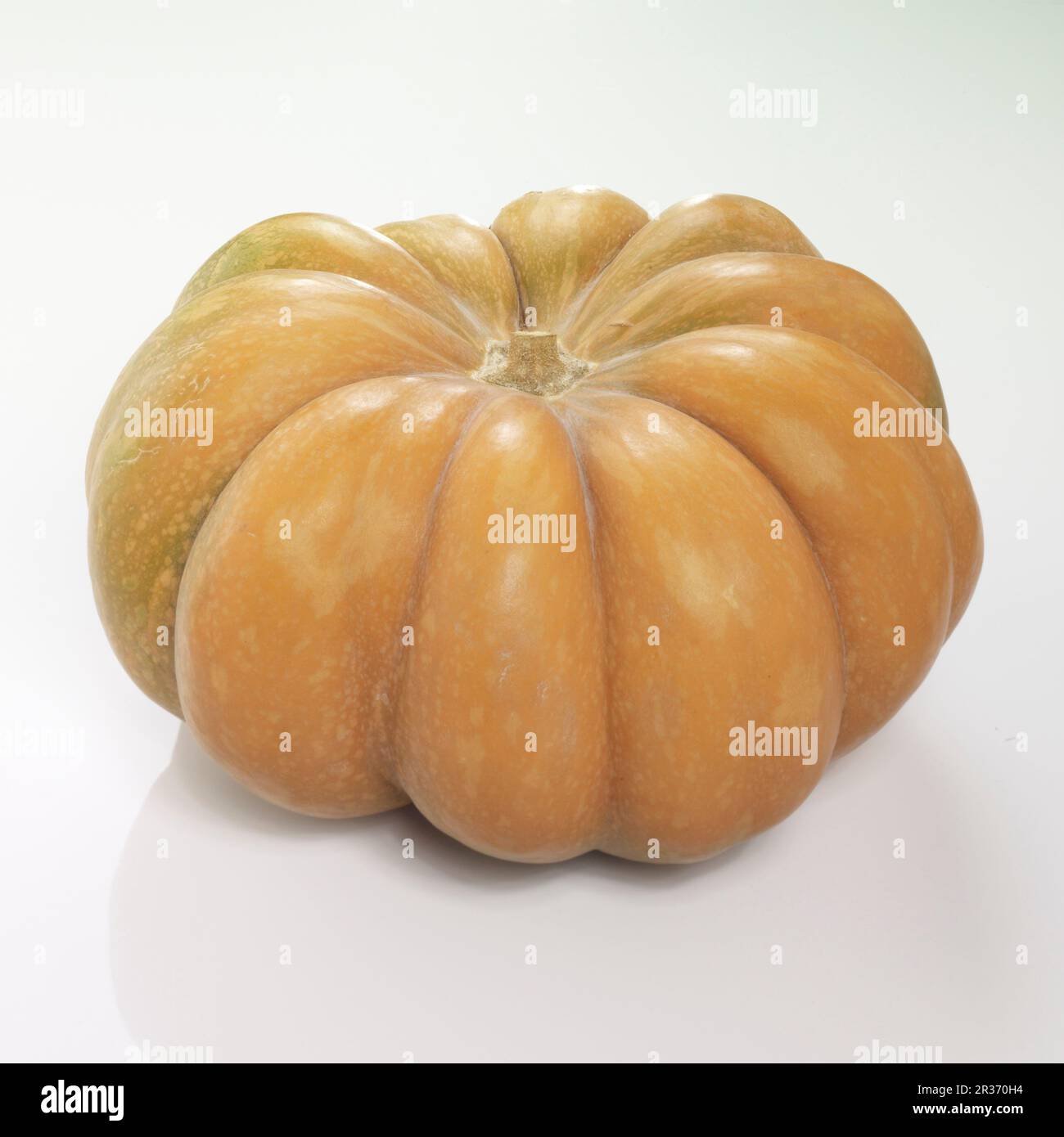 Muscat de provence squash hi-res stock photography and images - Alamy