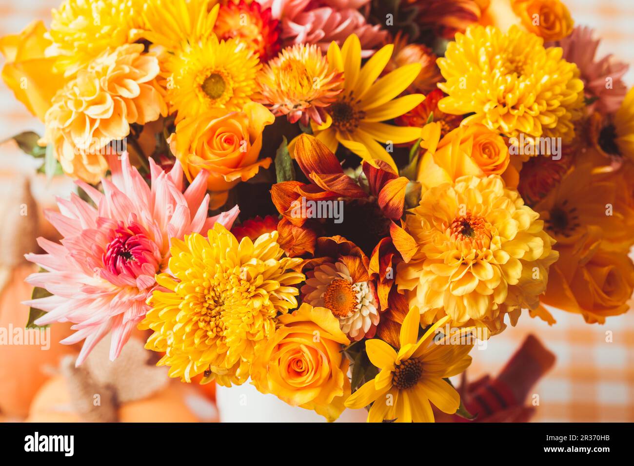 Yeloow hi-res stock photography and images - Alamy