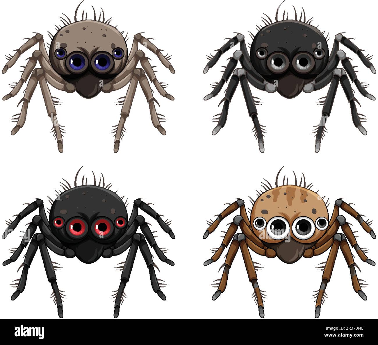 Illustration group spiders hi-res stock photography and images - Alamy