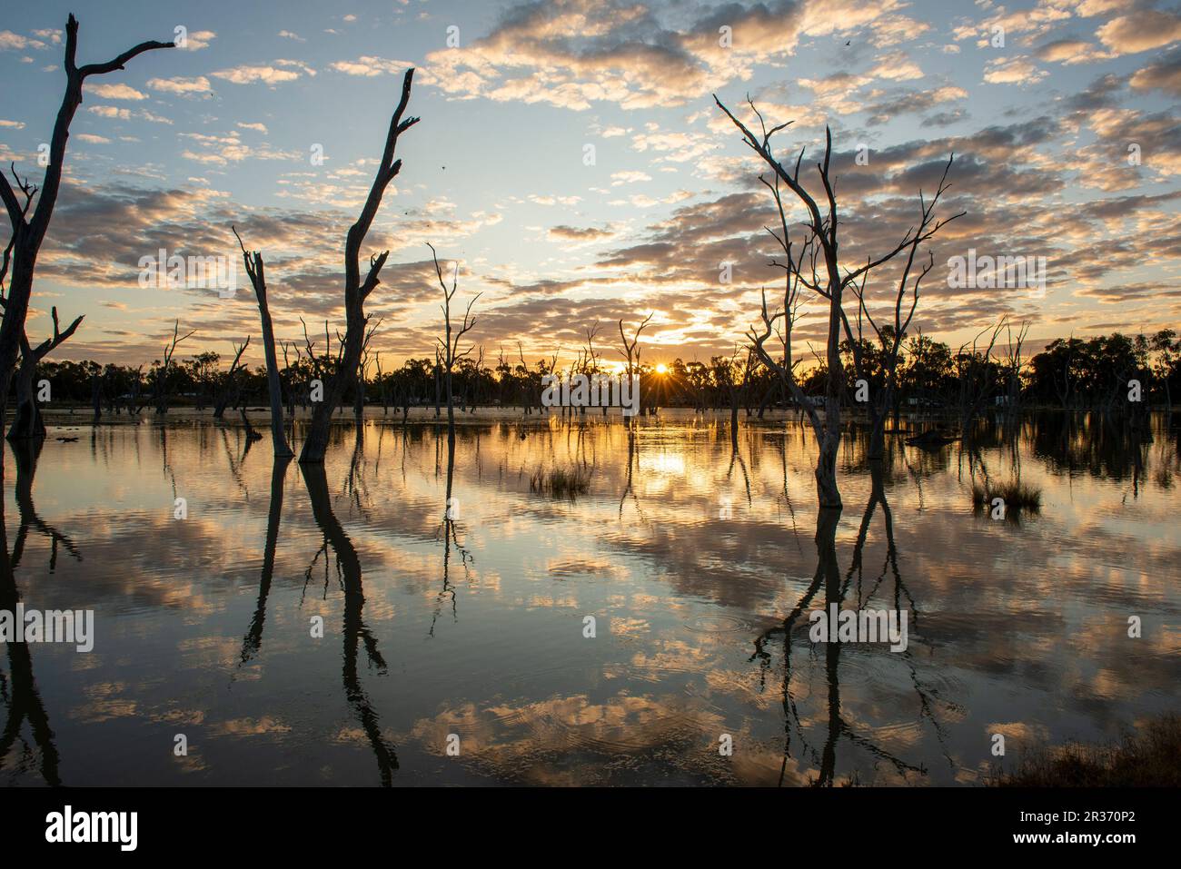 Sunset at Lara Wetlands in western Queensland, Australia Stock Photo ...