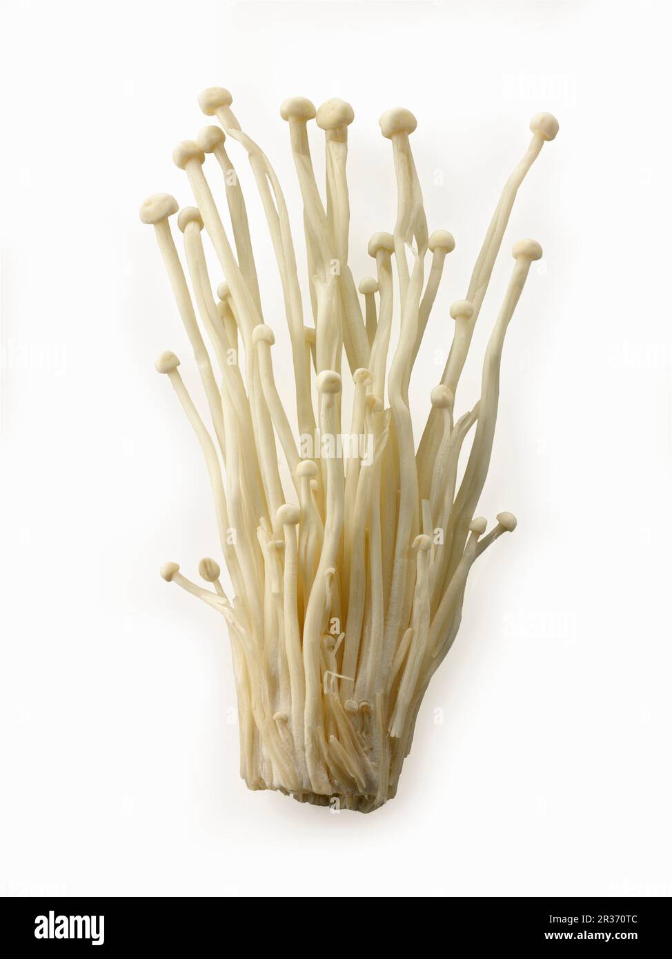 Indoor space needle Cut Out Stock Images & Pictures - Alamy