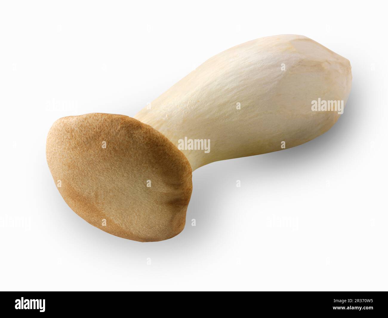 King no one Cut Out Stock Images & Pictures - Alamy