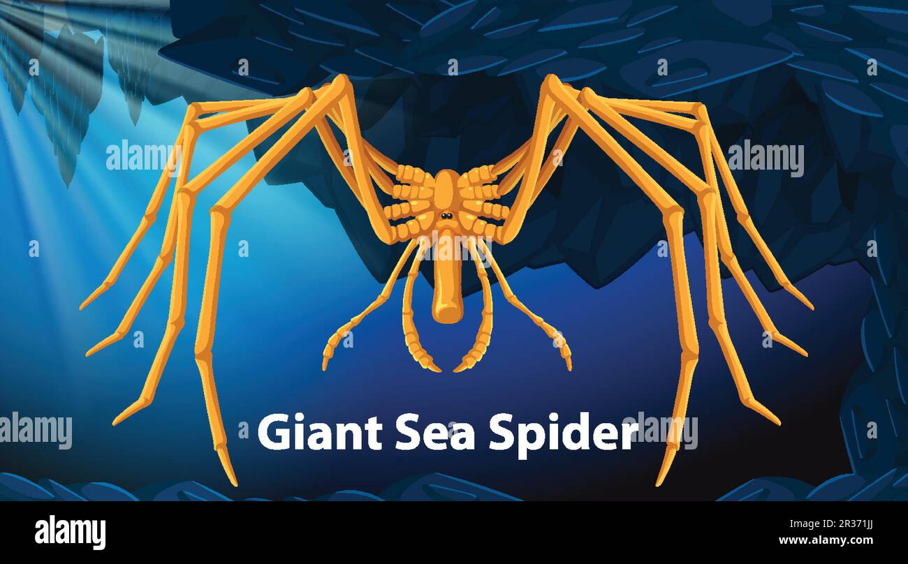 Sea spider Stock Vector Images - Alamy