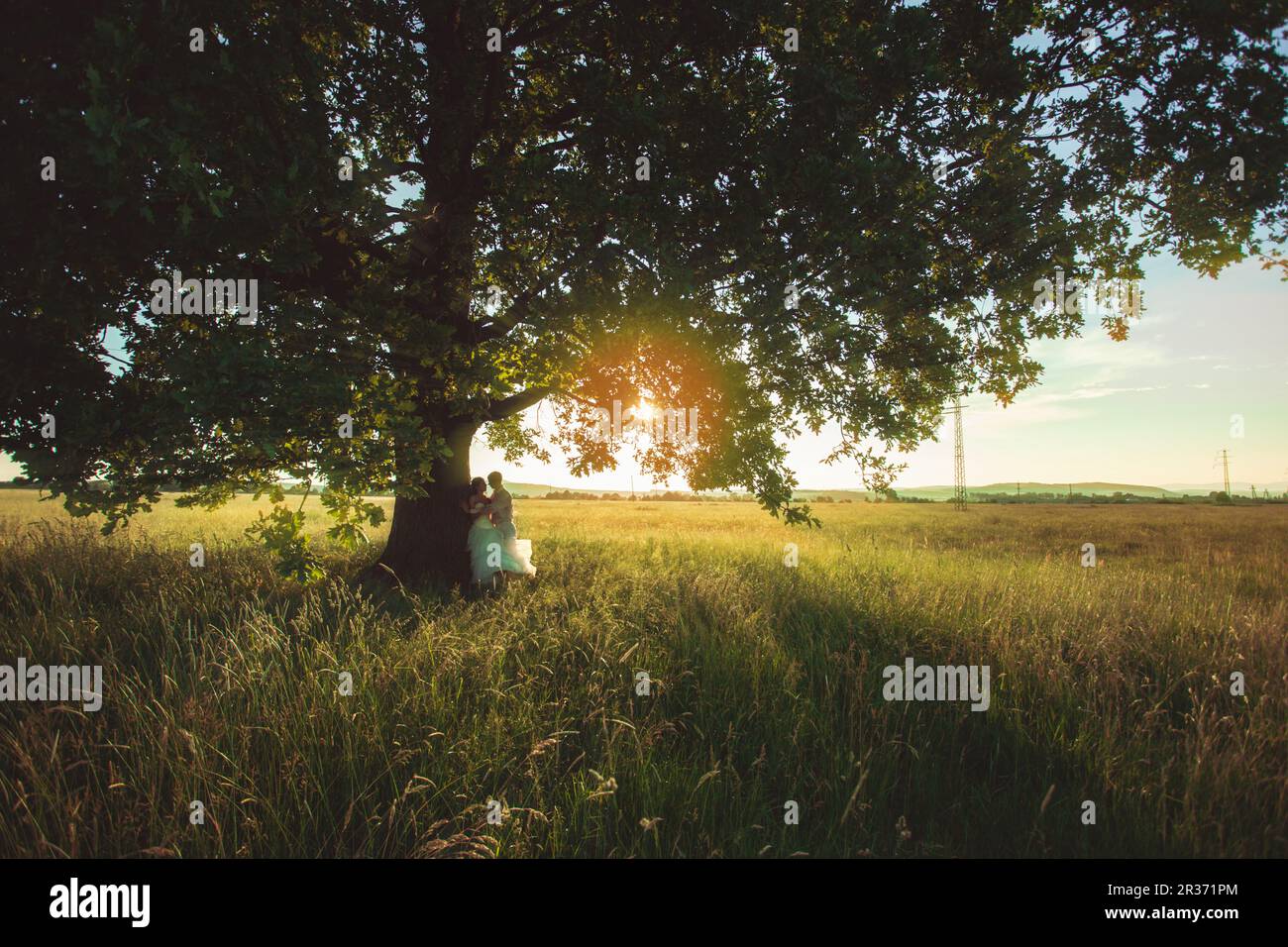 Wedding couple under the tree Stock Photo - Alamy