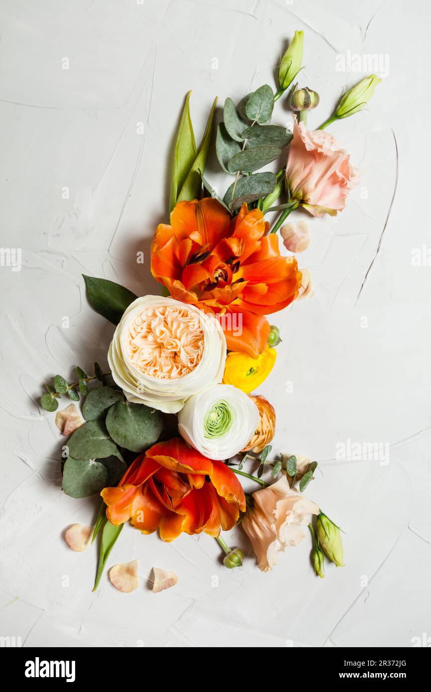 Floral design card Stock Photo - Alamy