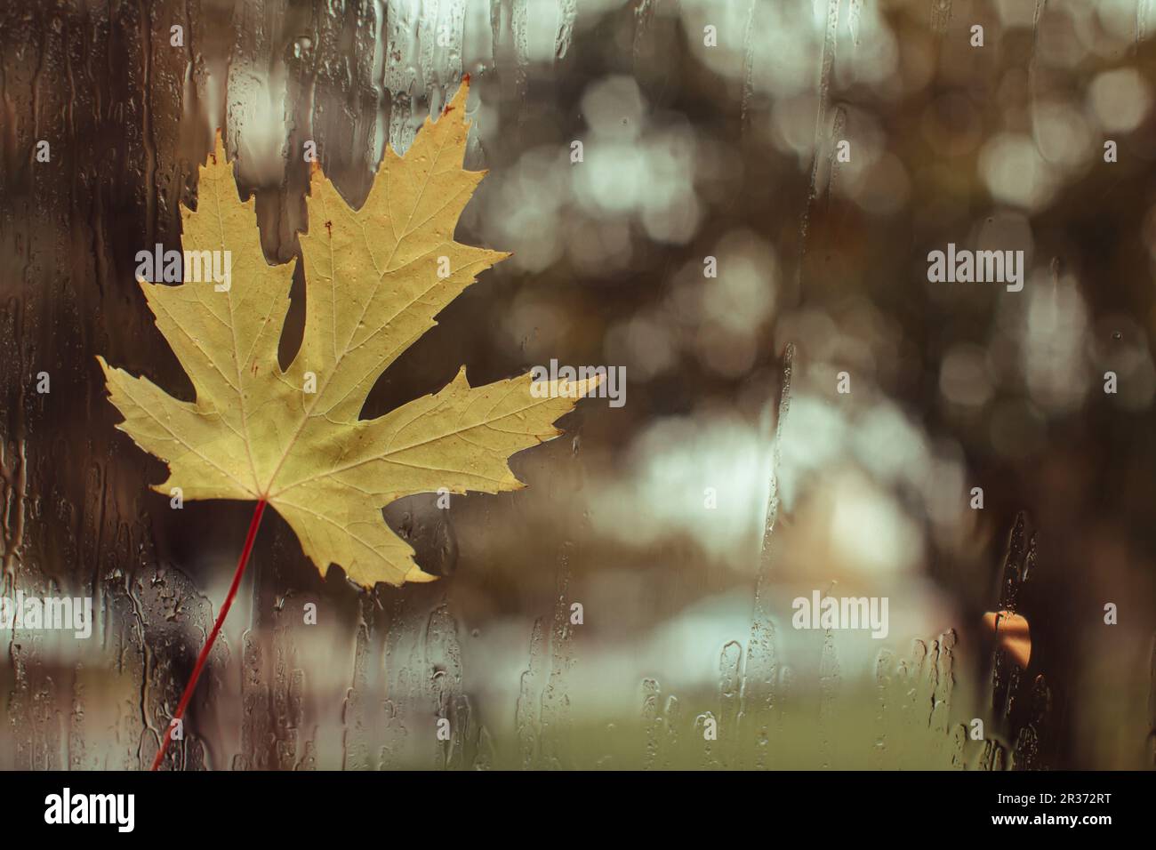 Rain view from window hi-res stock photography and images - Alamy