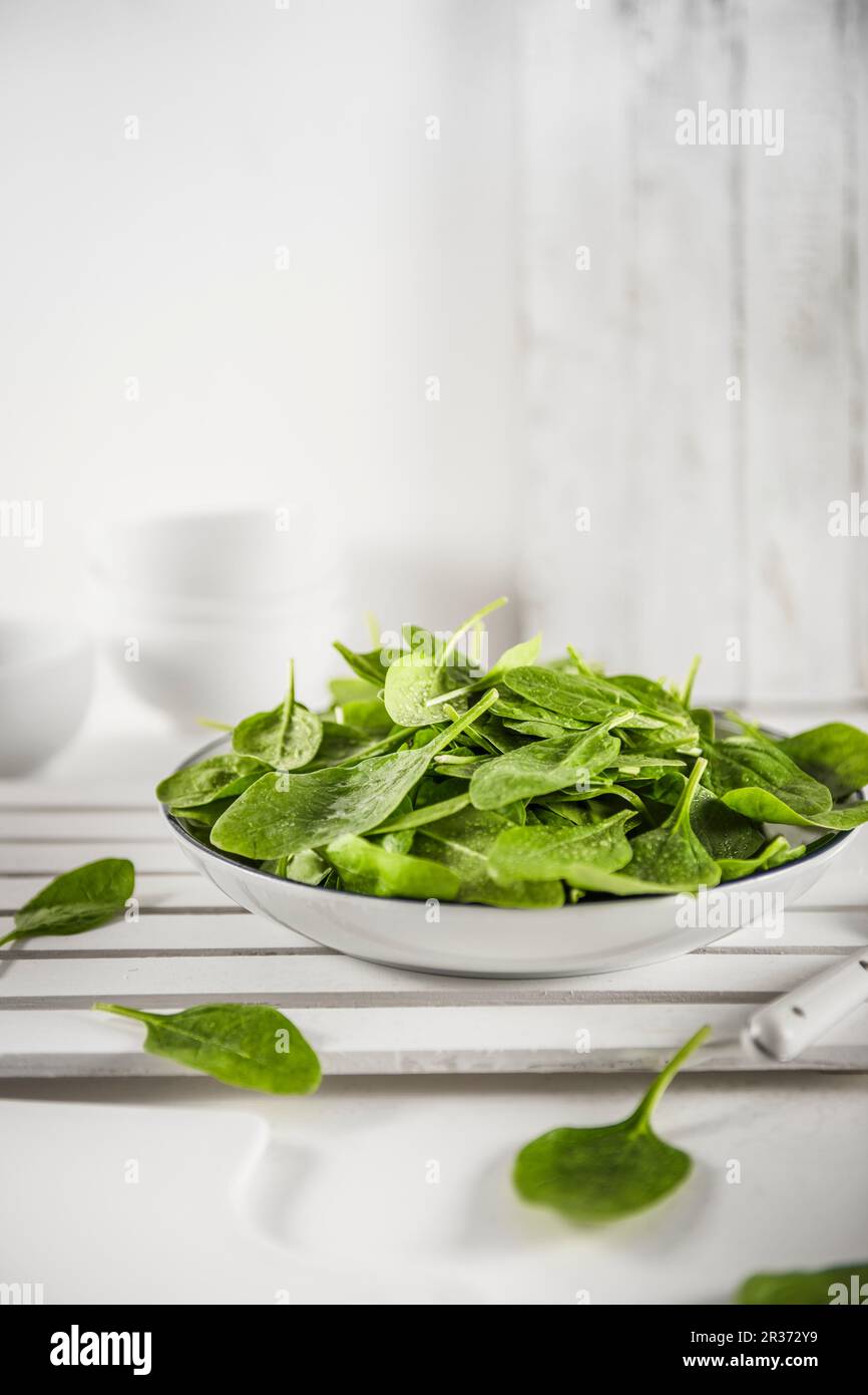 Washed spinach leaves hi-res stock photography and images - Alamy