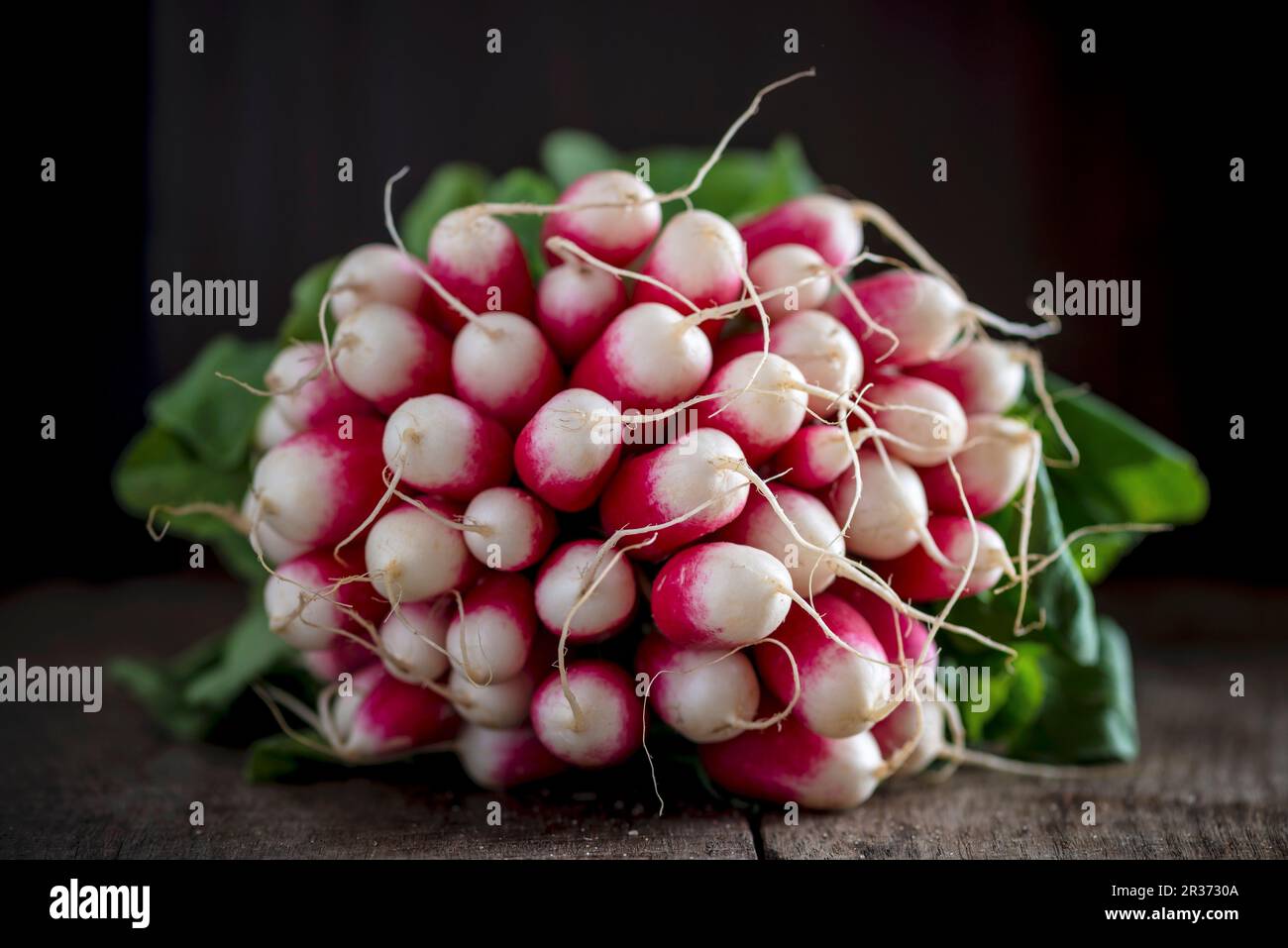 French Breakfast radishes Stock Photo - Alamy