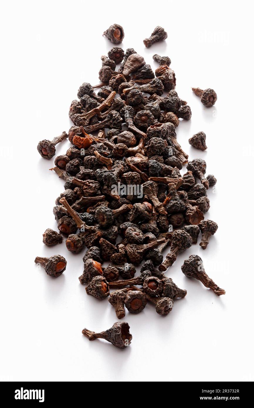 Cinnamon flowers hi-res stock photography and images - Alamy