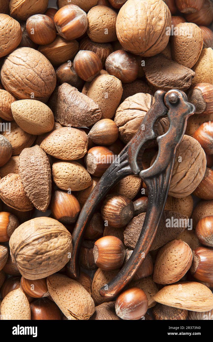 Various nuts and a vintage nutcracker Stock Photo - Alamy