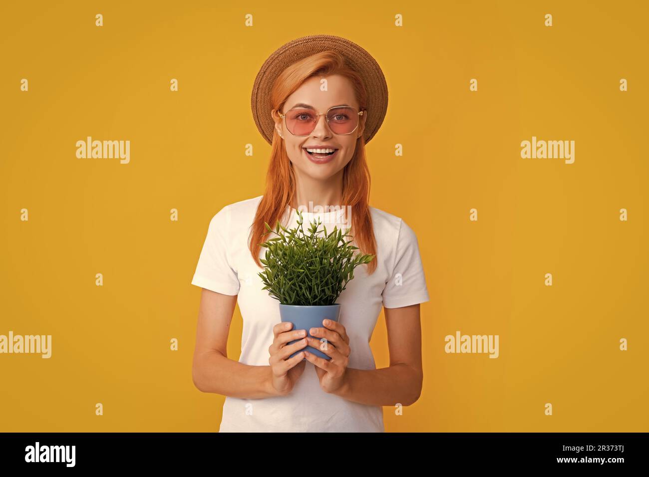 Woman planting flowers in pot. Girl care of potted plant, hobbies, home ...