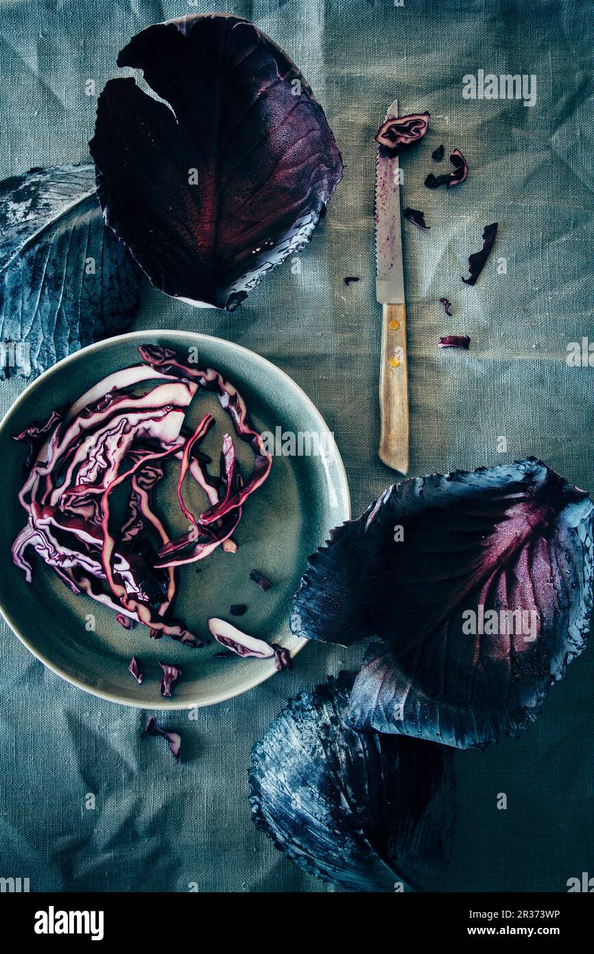 Red cabbage leaves hi-res stock photography and images - Alamy