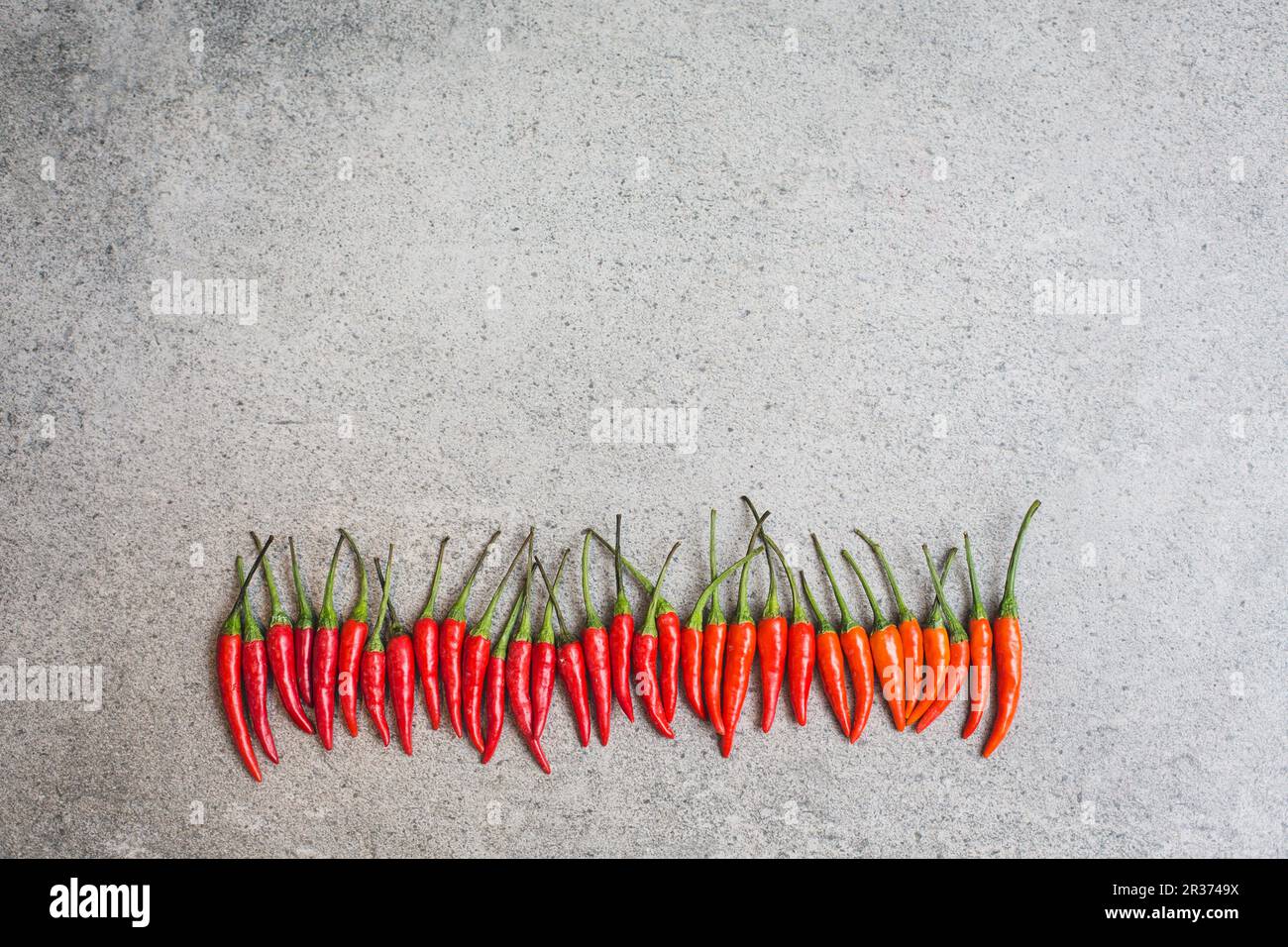 Chillis in a row hi-res stock photography and images - Alamy