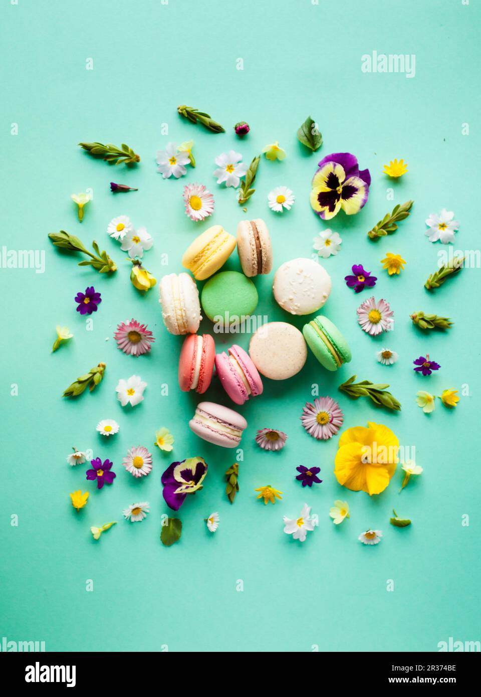 Colorful macaroons and flowers Stock Photo - Alamy