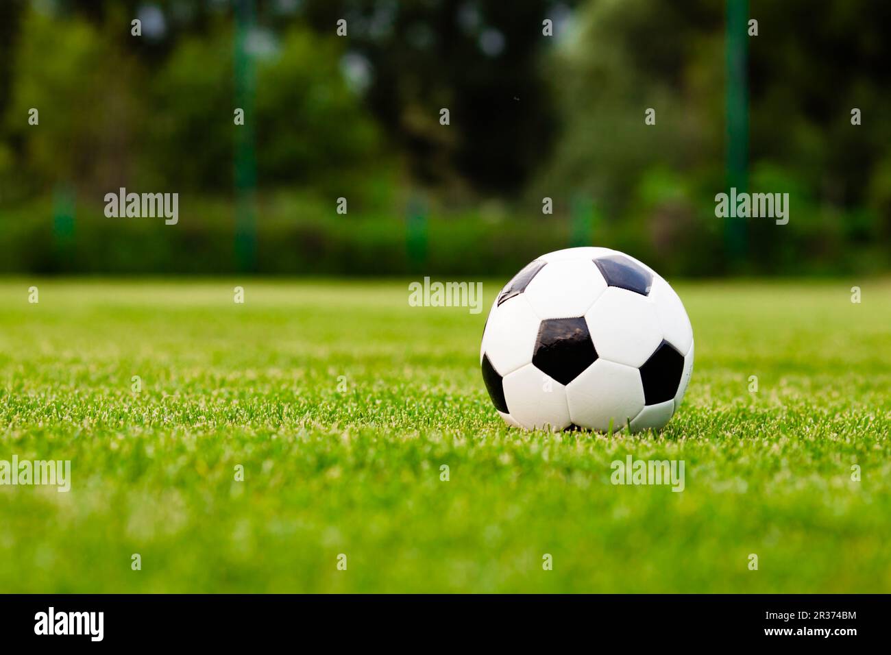 Grass game hi-res stock photography and images - Alamy
