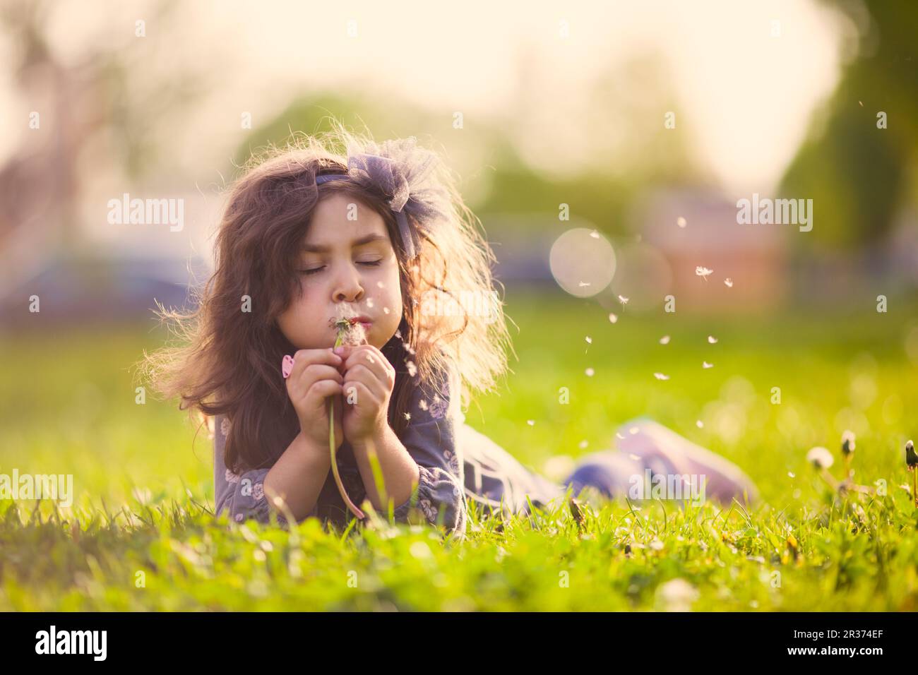 Cute girl blowing dandelion Stock Photo - Alamy