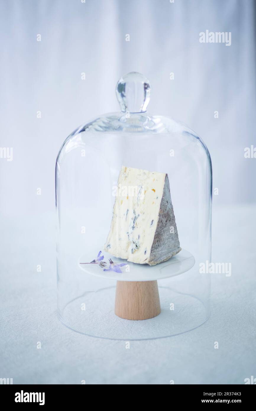 Blue cheese under a cheese bell Stock Photo - Alamy