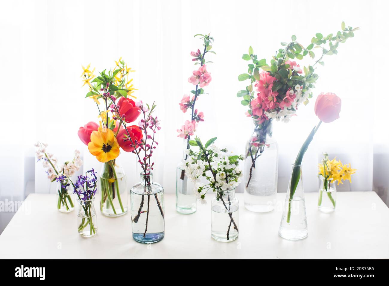 Transparent table stand hi-res stock photography and images - Alamy
