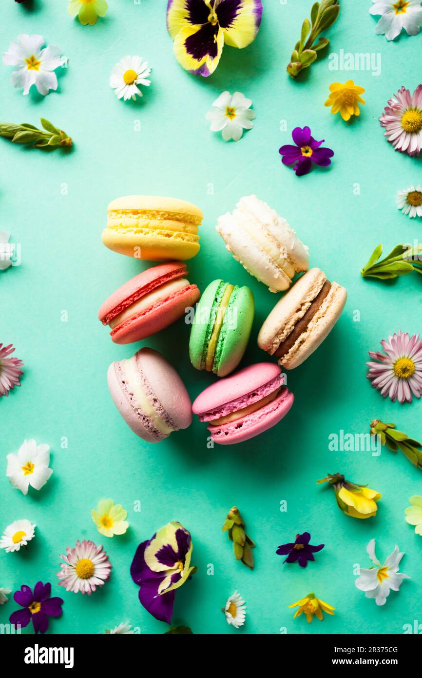Colorful macaroons festive table hi-res stock photography and images ...