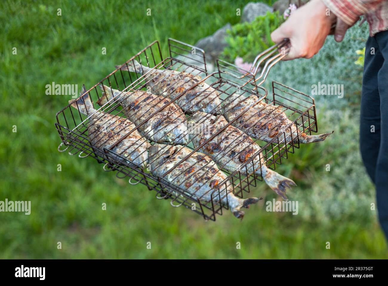 Coal fish fillet hi-res stock photography and images - Alamy