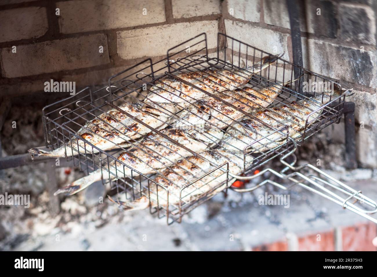 Cooking fish on picnic hi-res stock photography and images - Alamy