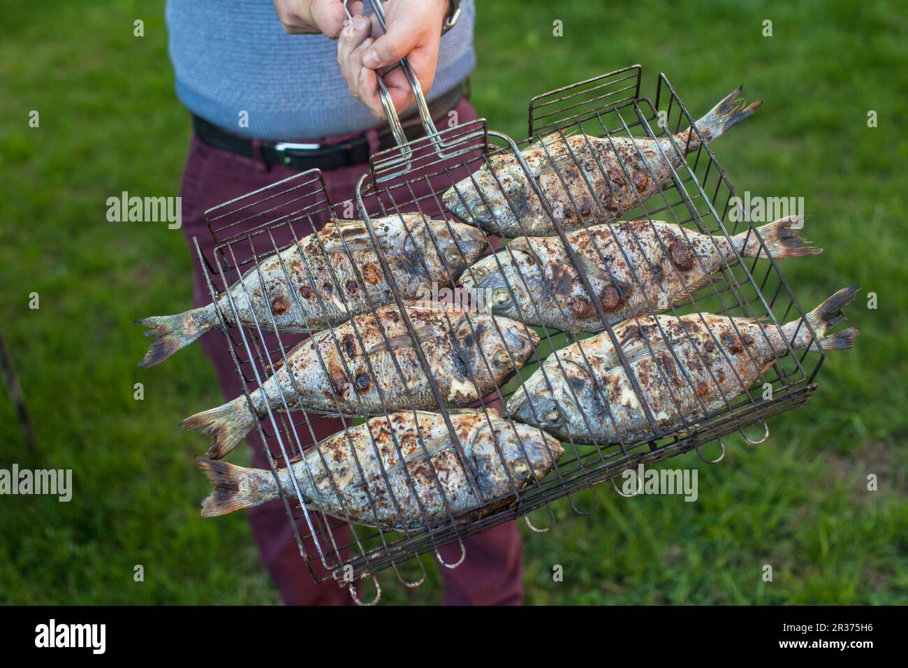 Coal fish fillet hi-res stock photography and images - Alamy