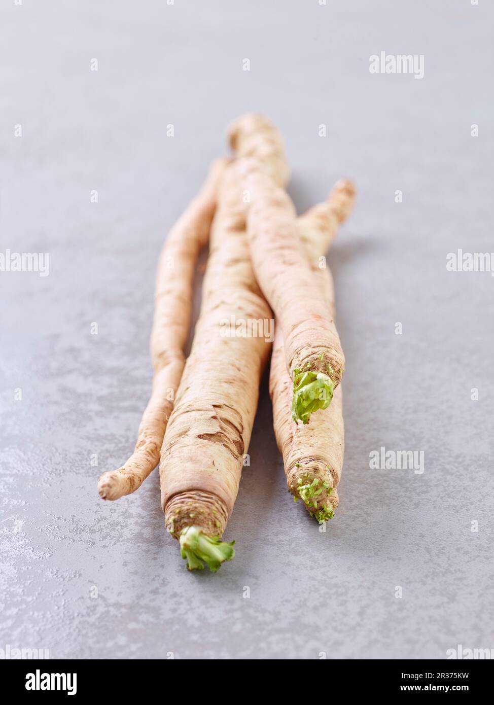 Organic Hamburg Root Parsley Stock Photo - Alamy