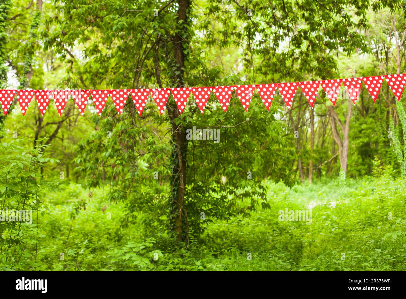 Red bunting flags Stock Photo - Alamy