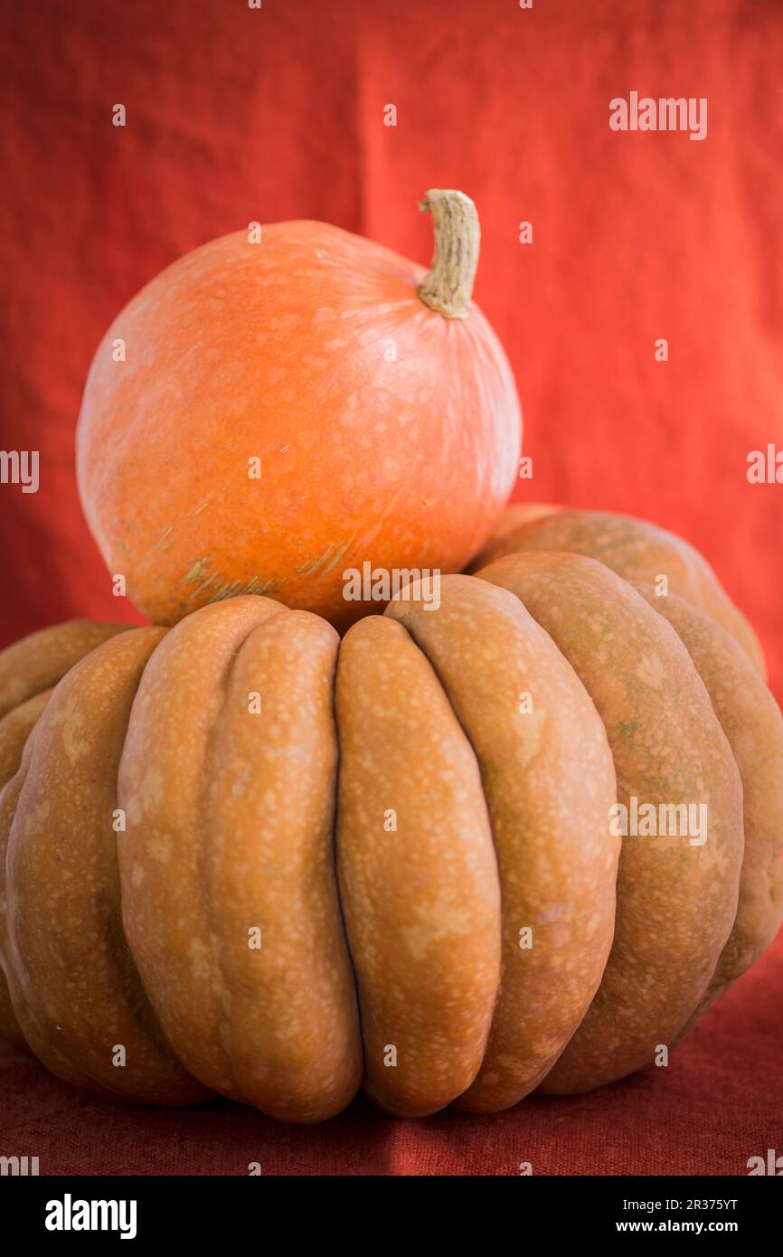 Two different things hi-res stock photography and images - Alamy