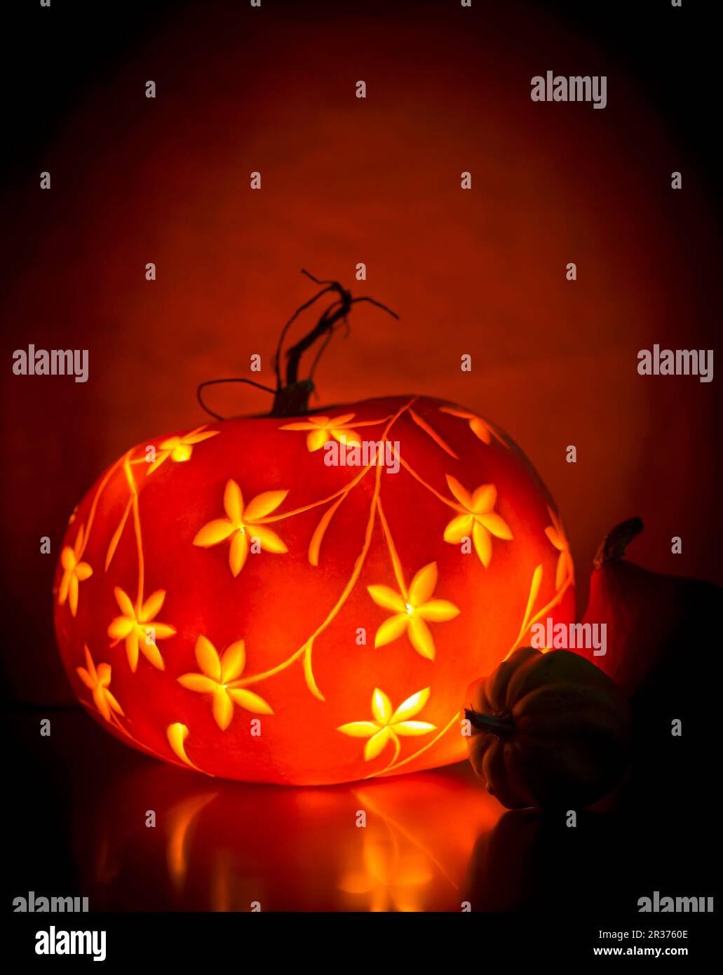 Pumpkin after dark hi-res stock photography and images - Alamy