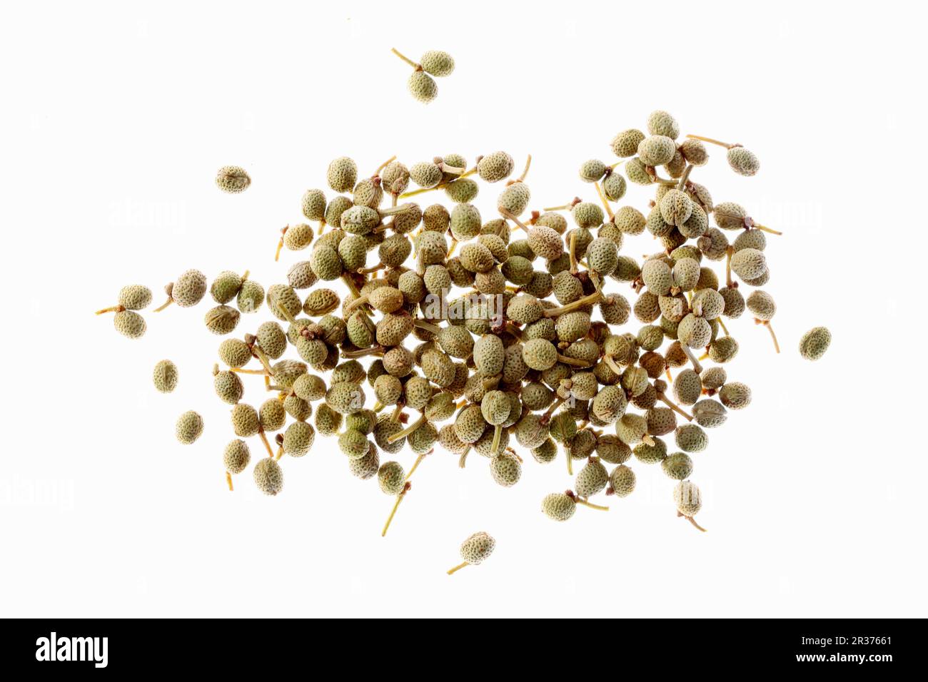 Japanese sansho pepper hi-res stock photography and images - Alamy