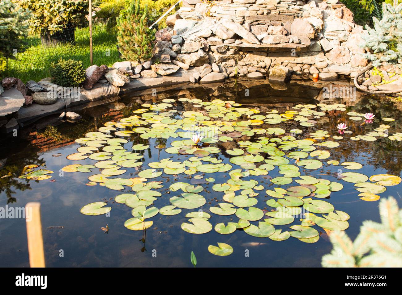 Landscaping pond hi-res stock photography and images - Alamy