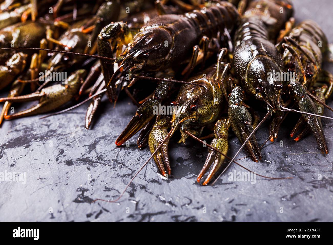 Fresh crayfish hi-res stock photography and images - Alamy