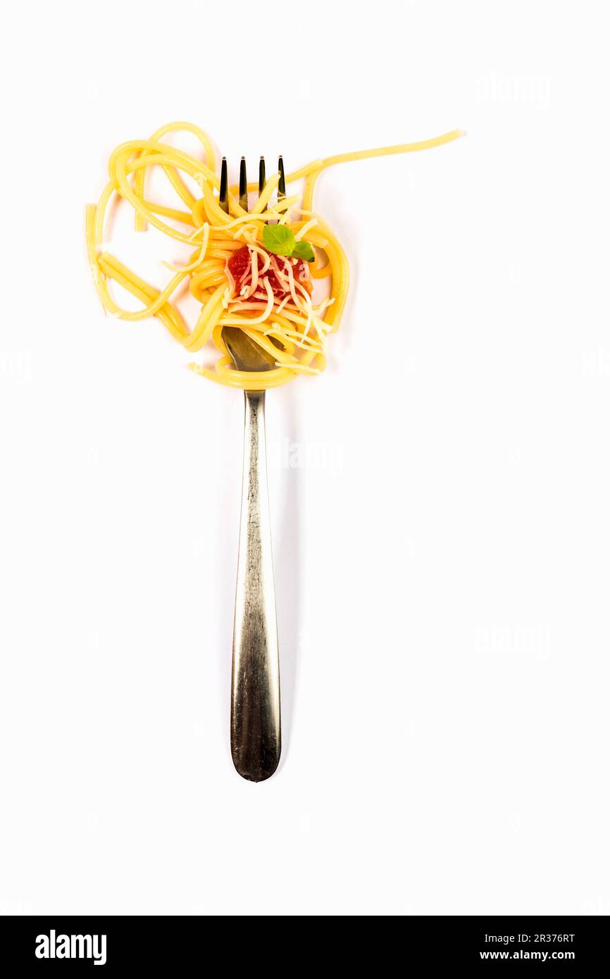 Italian pasta with tomato and basil on fork on white cardboard Stock ...