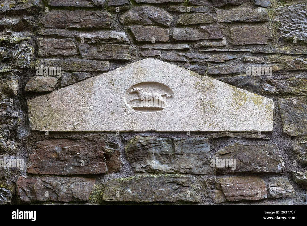 A stone with a carved horse, inset into a wall at Blarney Castle in ...
