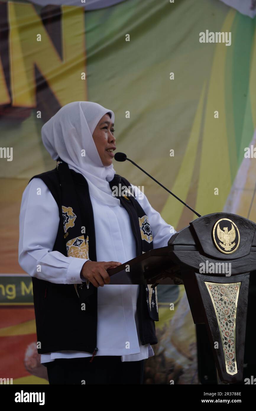 Khofifah Indar Parawansa (governor of East Java) on sumberasri durian ...