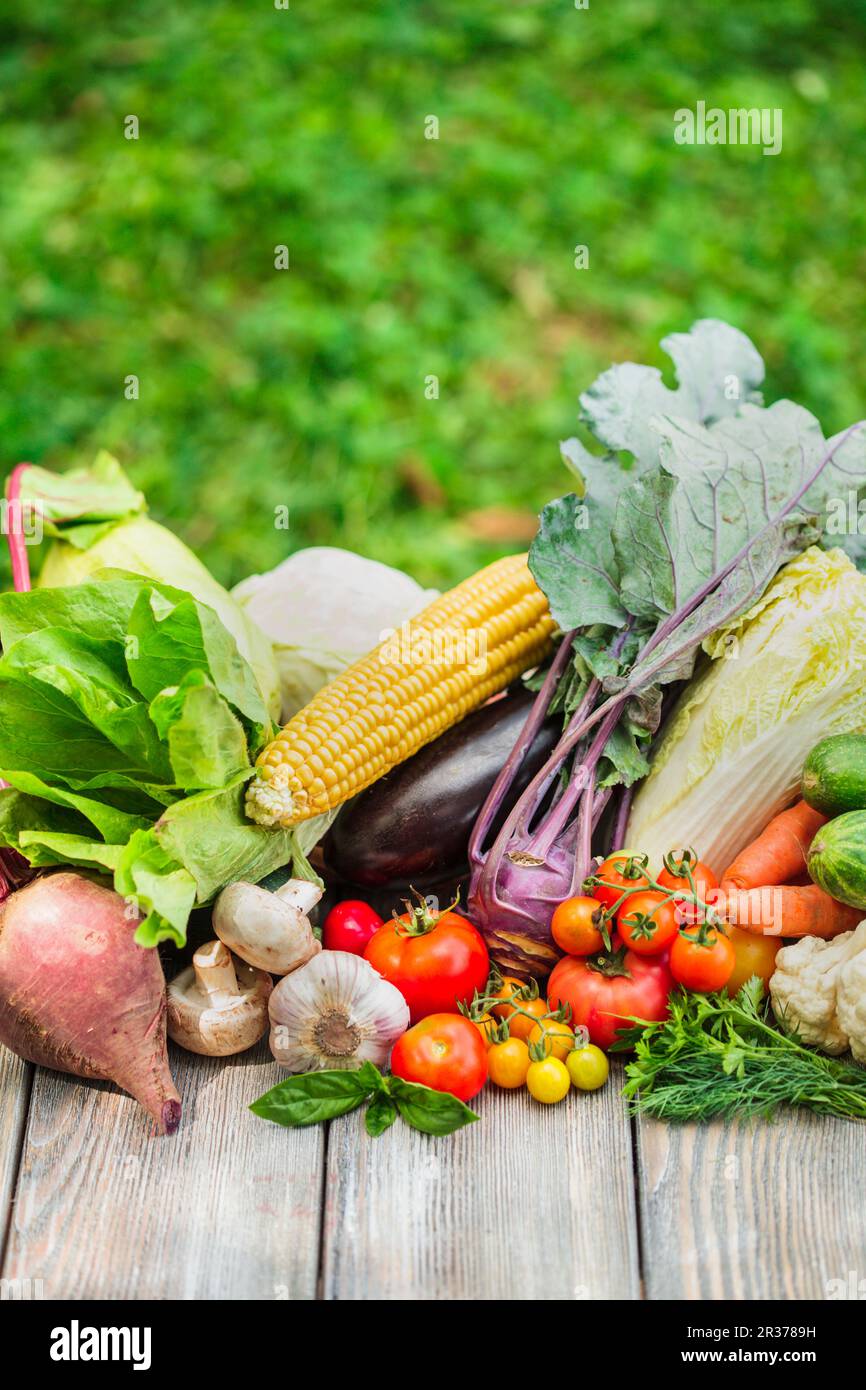 Vegetables collection fresh farm hi-res stock photography and images ...