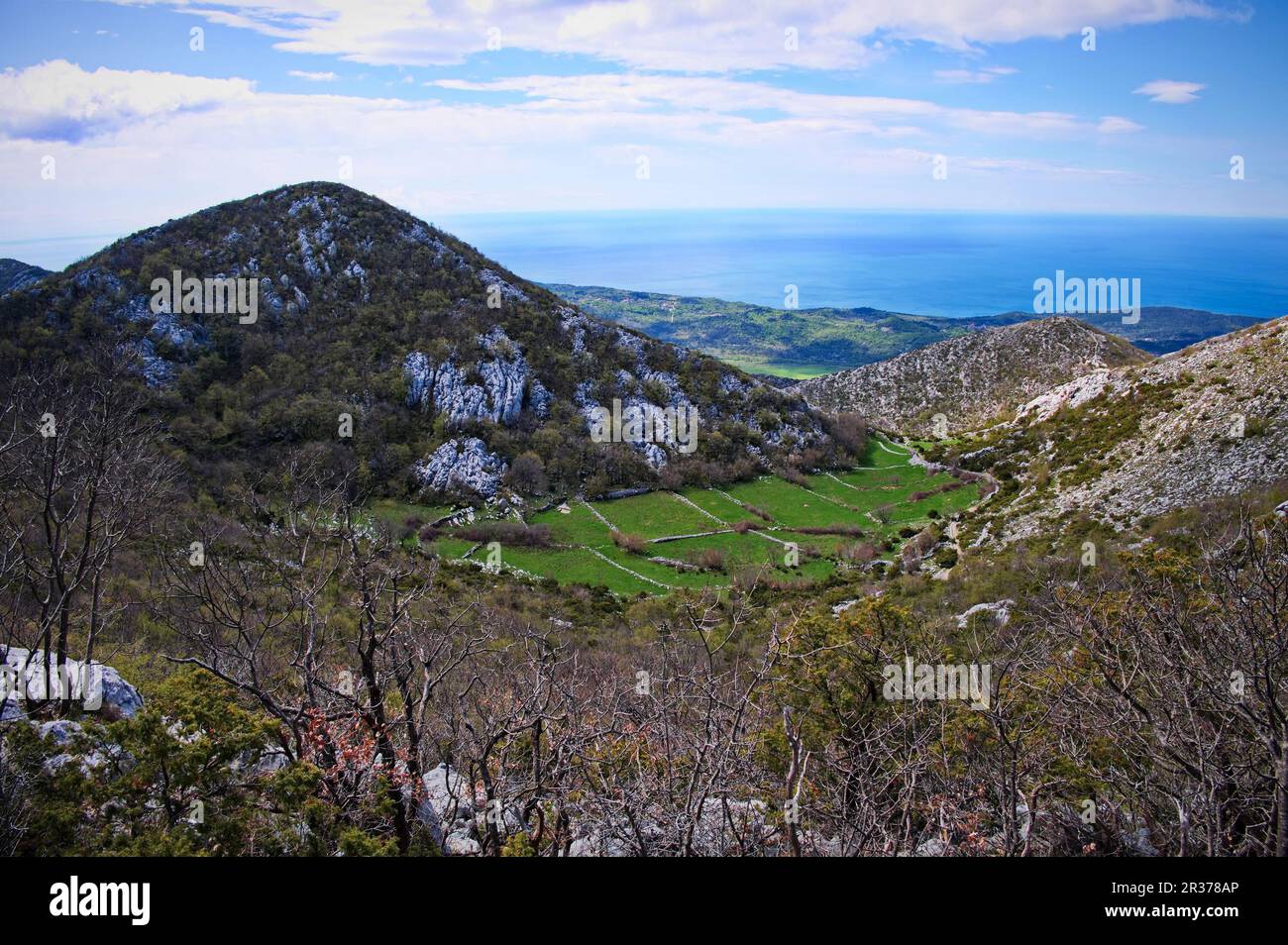 Field in the valley surrounded with karst hills Stock Photo - Alamy