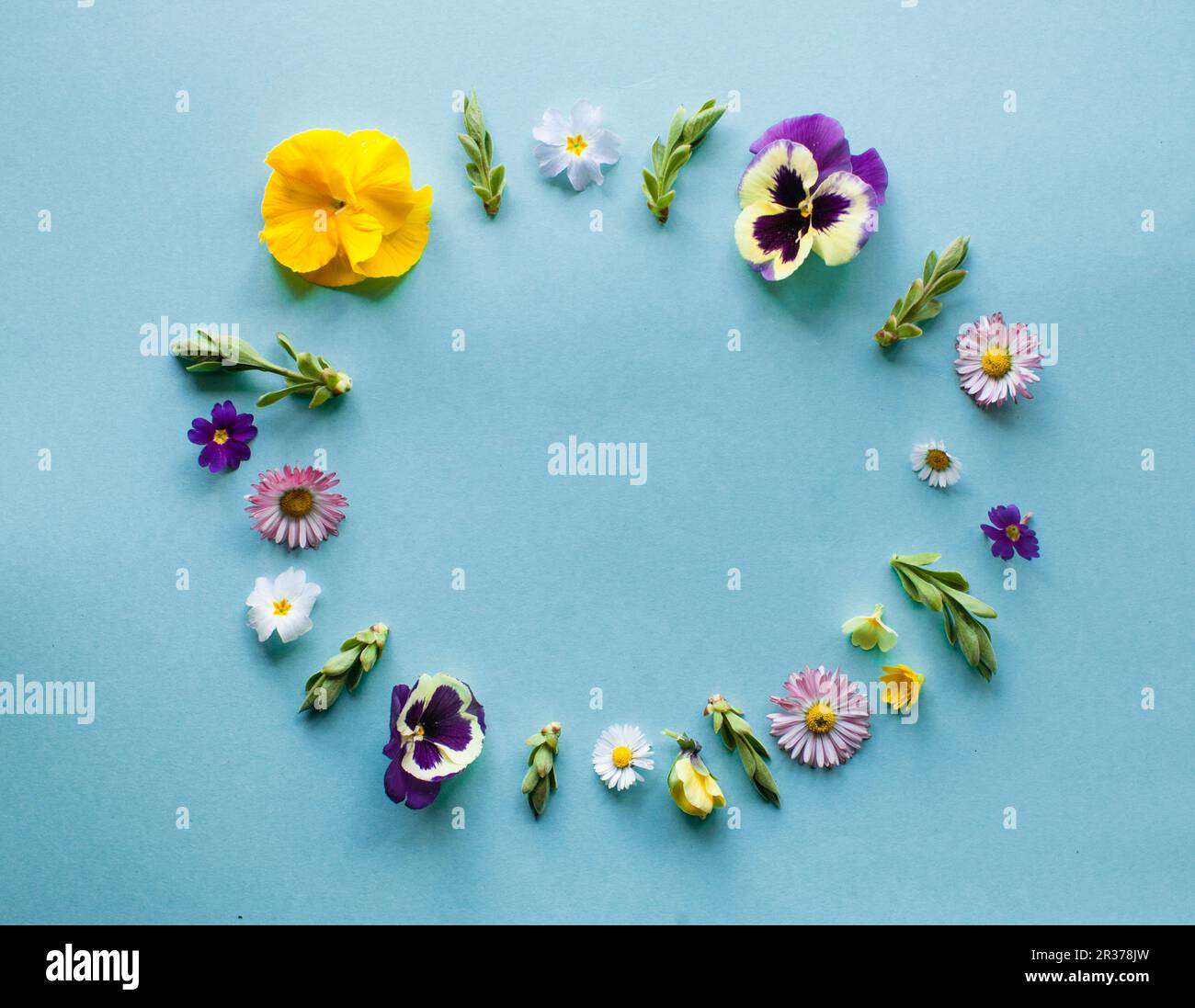 Spring flowers frame Stock Photo - Alamy