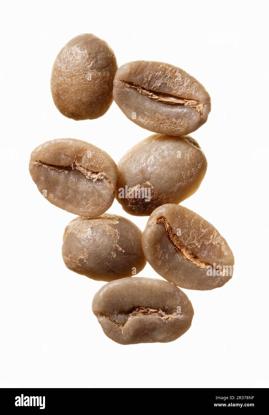 Raw coffee, India Plantation Stock Photo - Alamy