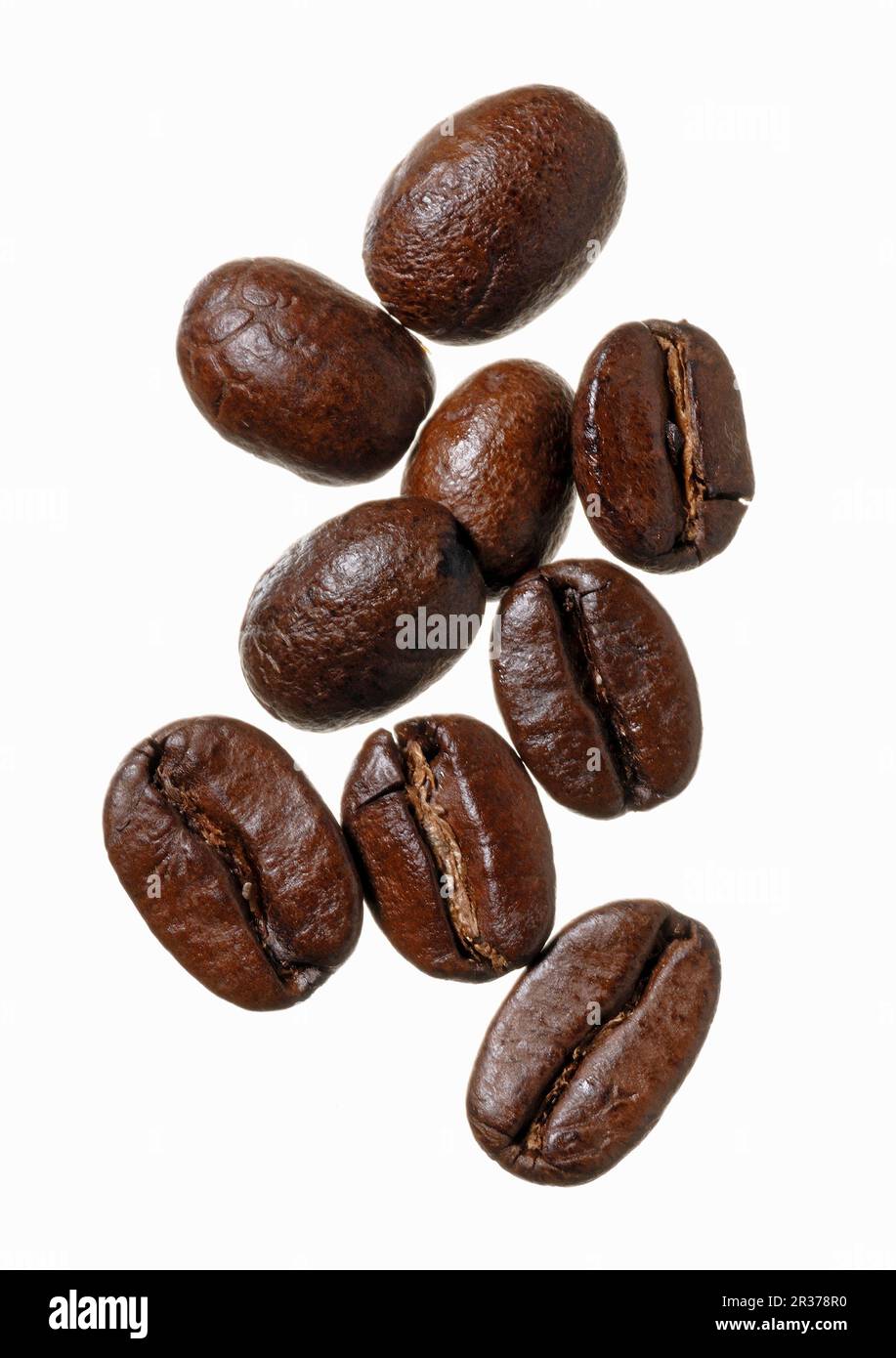 Coffee arabica cut hi-res stock photography and images - Alamy