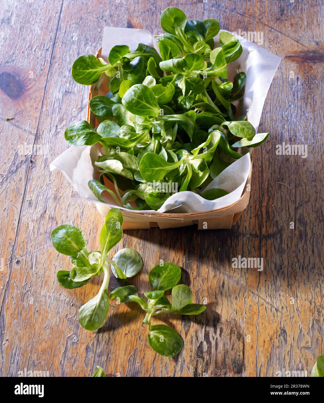 Fresh lamb's lettuce in and in front of a woodchip basket Stock Photo ...