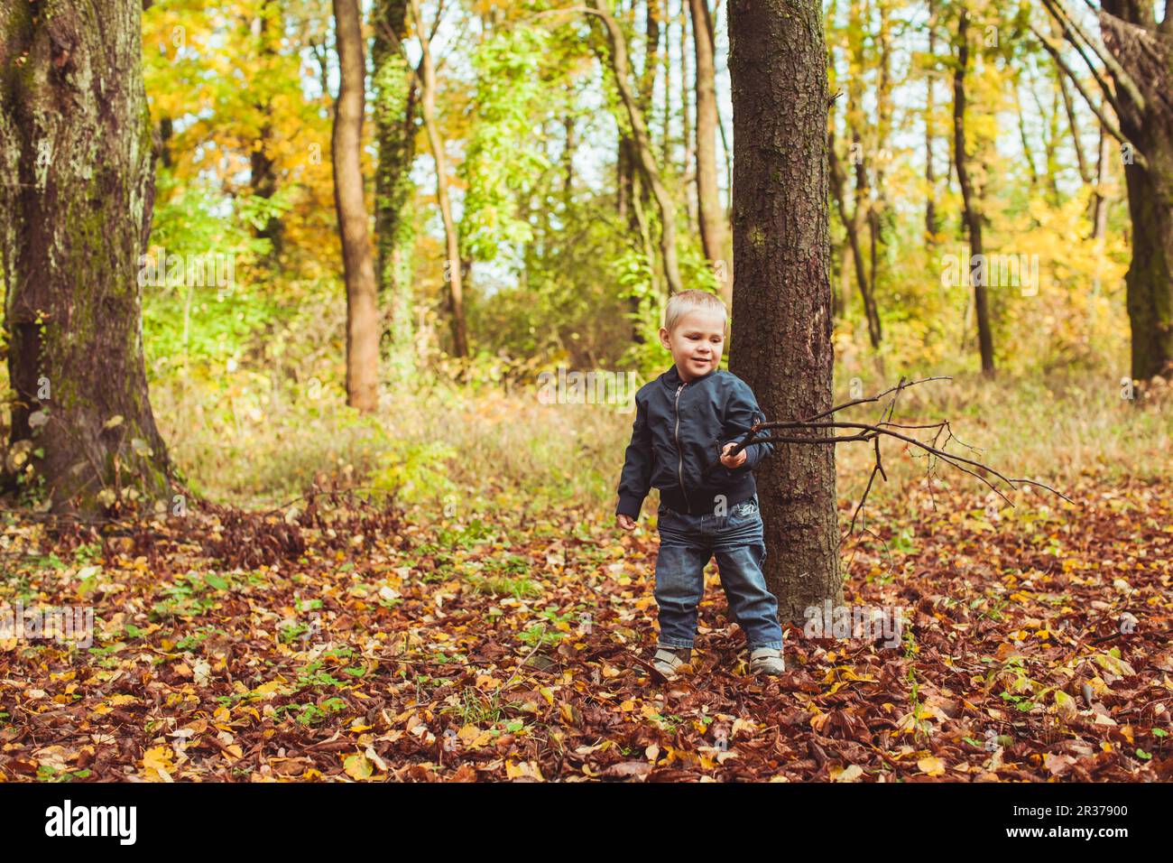 Young boy walking in forest hi-res stock photography and images - Alamy
