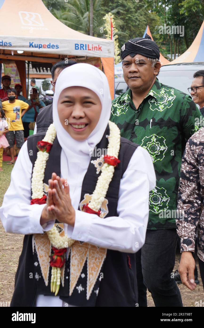 Khofifah Indar Parawansa (governor of East Java) on sumberasri durian ...
