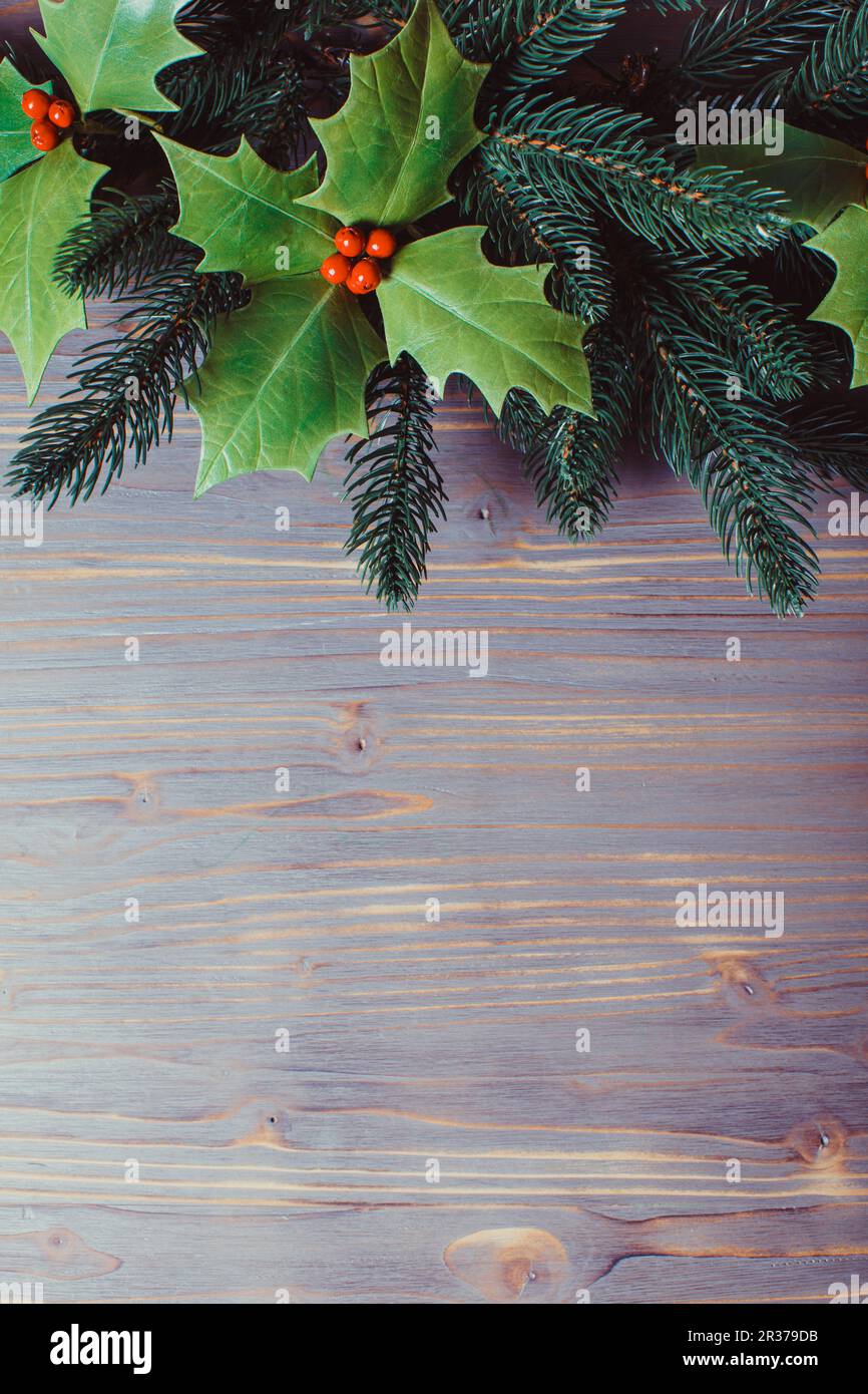Holly and fir twigs on wood wall Stock Photo - Alamy