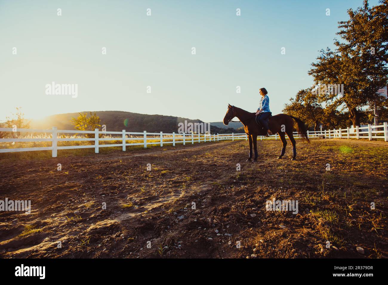 Evening walk on the horse Stock Photo - Alamy