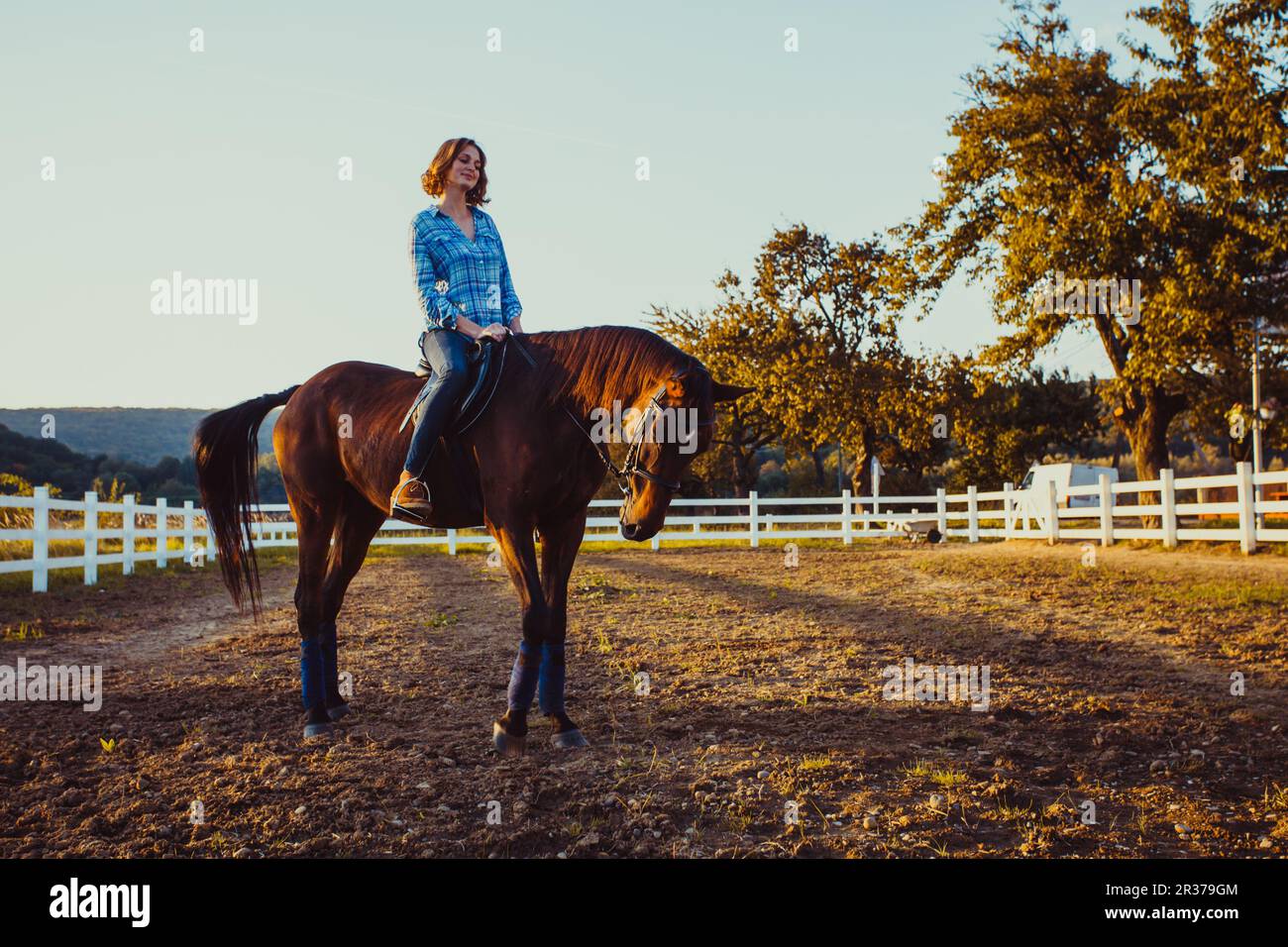 Horse on walk hi-res stock photography and images - Alamy