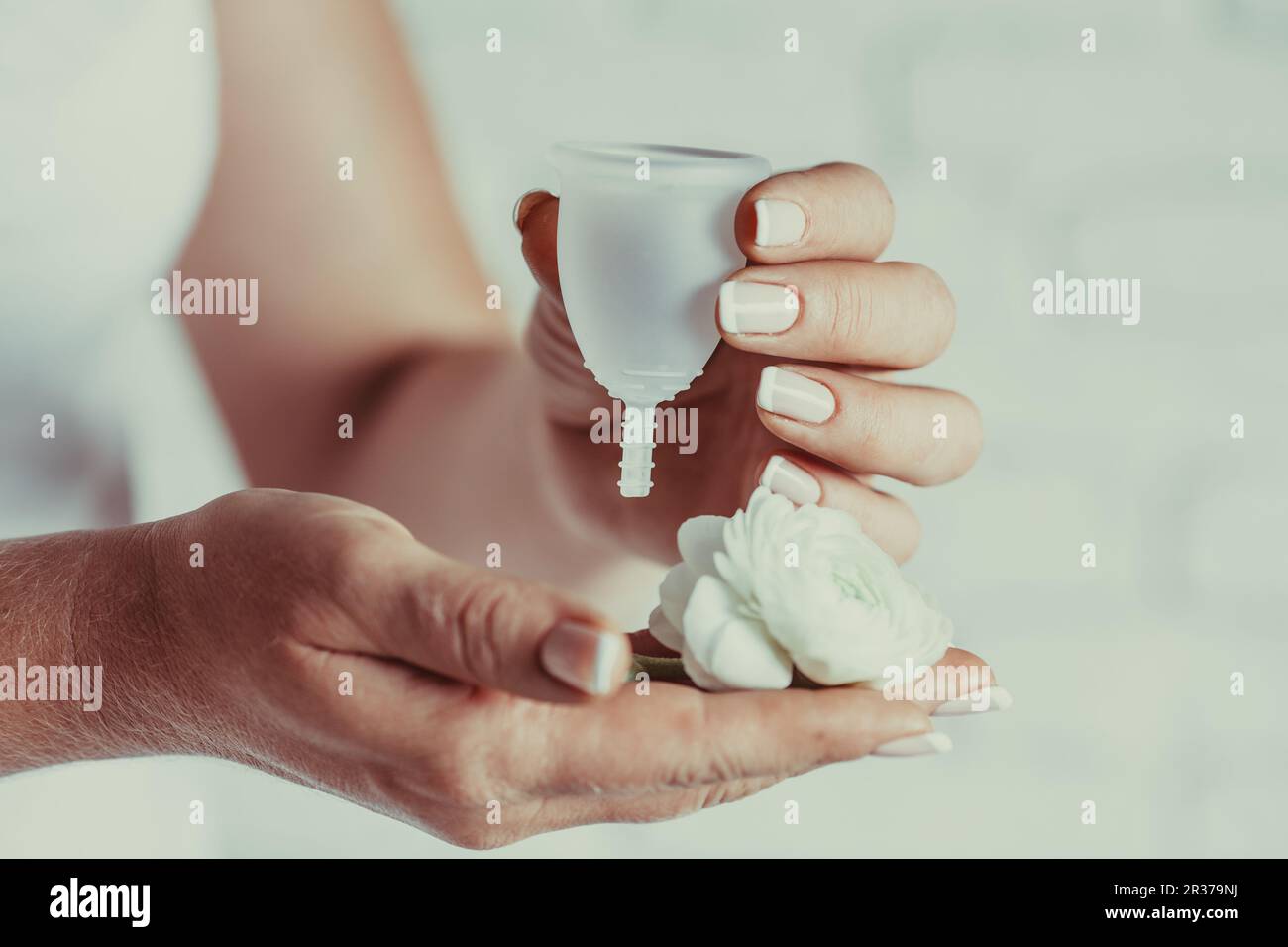 Menstrual cup in female hands Stock Photo - Alamy